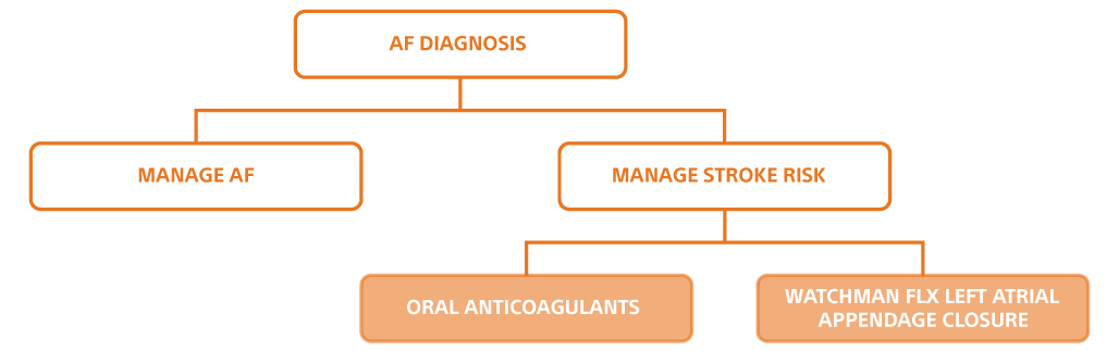 Managing AF & Stroke Risk | WATCHMAN Device