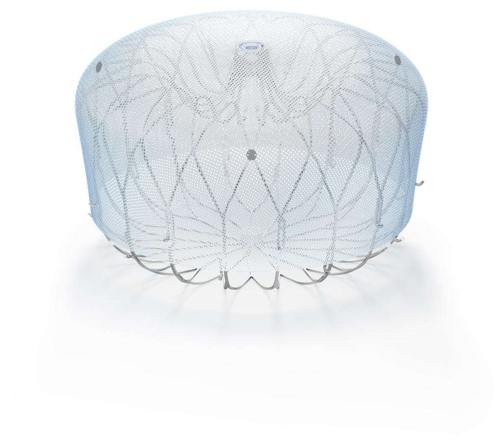 About the WATCHMAN LAAC Implant Procedure for Physicians