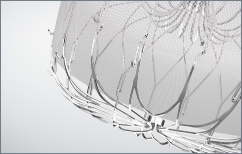 WATCHMAN FLX™ Left Atrial Appendage Closure Device