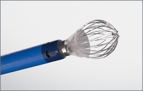 WATCHMAN FLX™ Left Atrial Appendage Closure Device