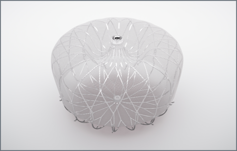 WATCHMAN FLX™ Left Atrial Appendage Closure Device