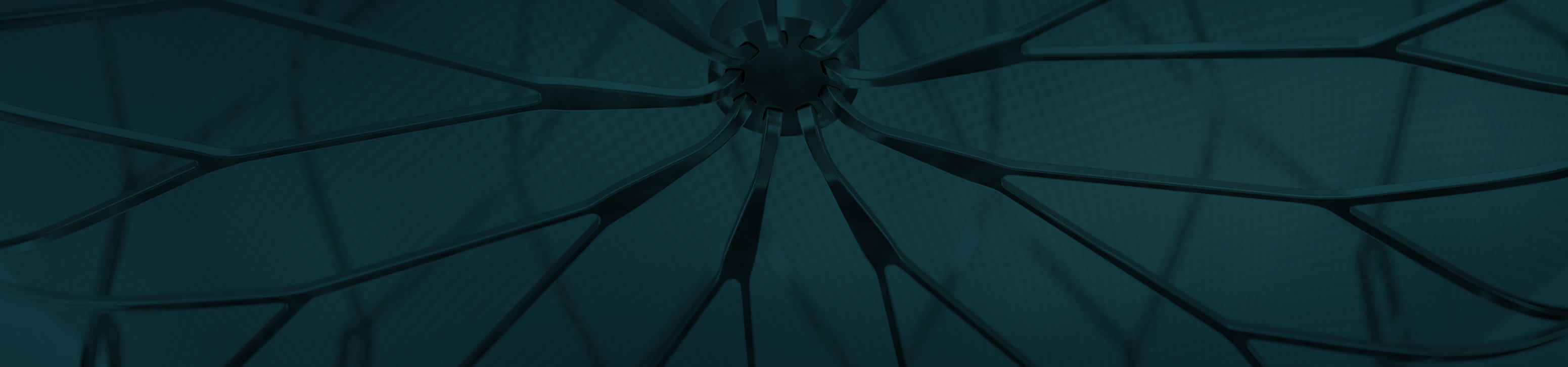 WATCHMAN for Physicians