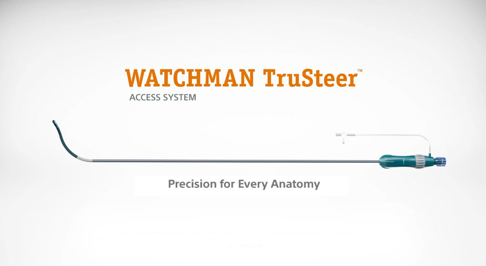 WATCHMAN TruSteer™ Access System