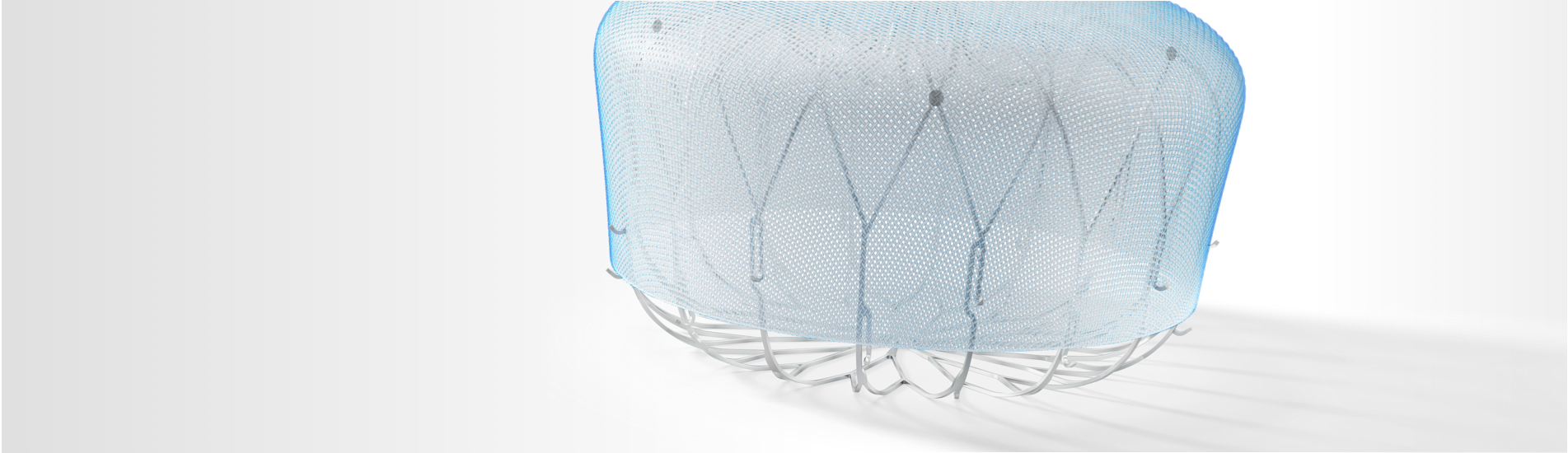 WATCHMAN FLX Pro Device