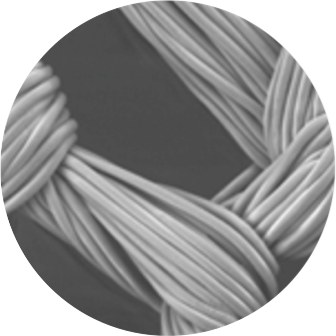 WATCHMAN FLX Pro Device