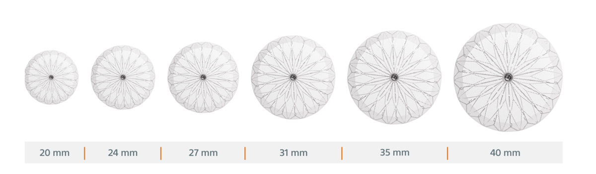 About the WATCHMAN LAAC Implant Procedure for Physicians