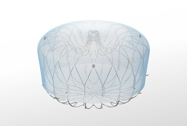 Concomitant AFib ablation and WATCHMAN Implant procedures