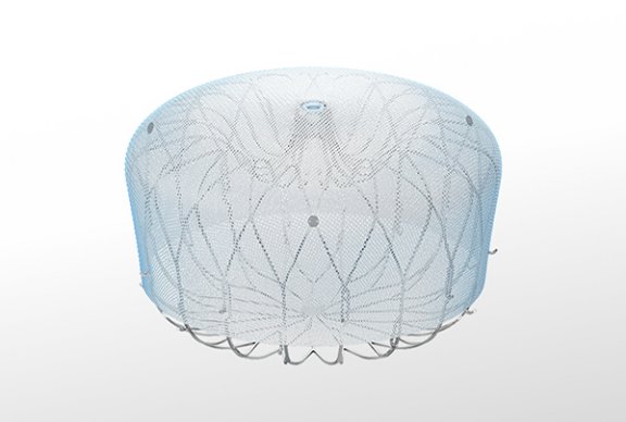 Concomitant AFib ablation and WATCHMAN Implant procedures