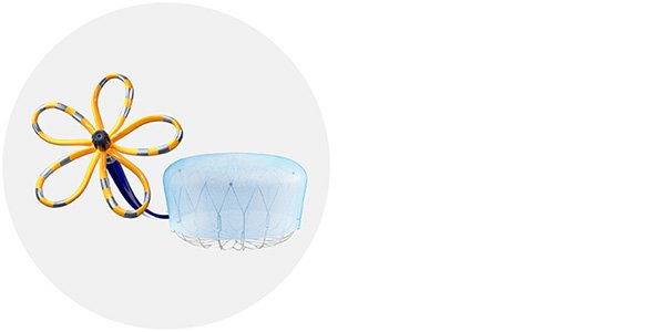 Concomitant AFib ablation and WATCHMAN Implant procedures