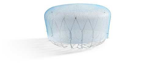 Concomitant AFib ablation and WATCHMAN Implant procedures