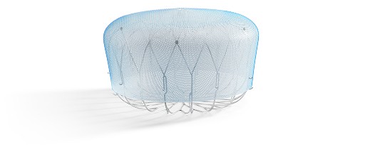 Concomitant AFib ablation and WATCHMAN Implant procedures