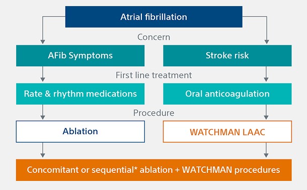 Concomitant AFib ablation and WATCHMAN Implant procedures
