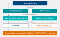 Concomitant AFib ablation and WATCHMAN Implant procedures