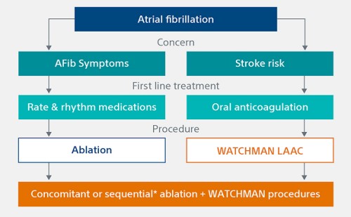 Concomitant AFib ablation and WATCHMAN Implant procedures