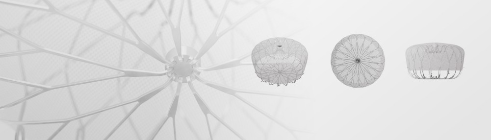 OPTION Randomized Clinical Trial comparing WATCHMAN to OAC