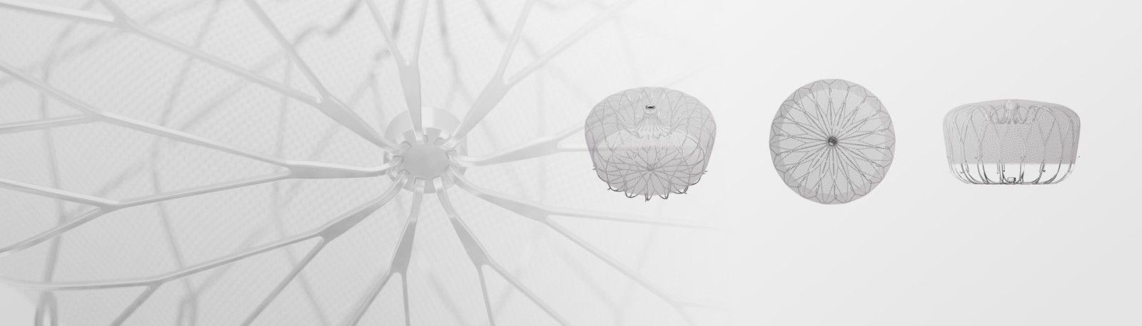 OPTION Randomized Clinical Trial comparing WATCHMAN to OAC