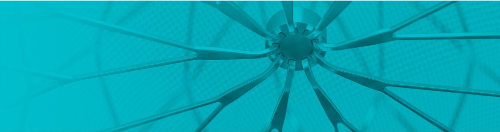 OPTION Trial - Cohort Subanalysis, Outcomes - WATCHMAN FLX