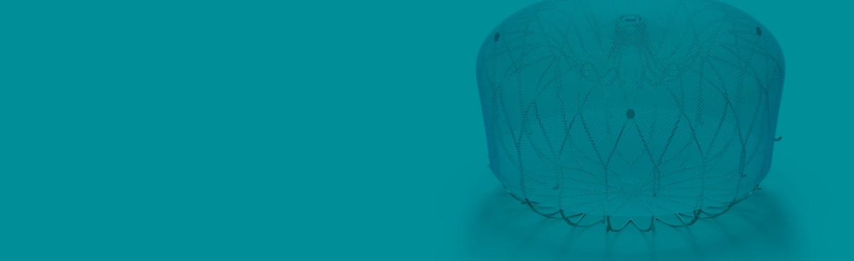 Clinical Data - Recent Studies, Pre-clinical Data - WATCHMAN FLX Pro