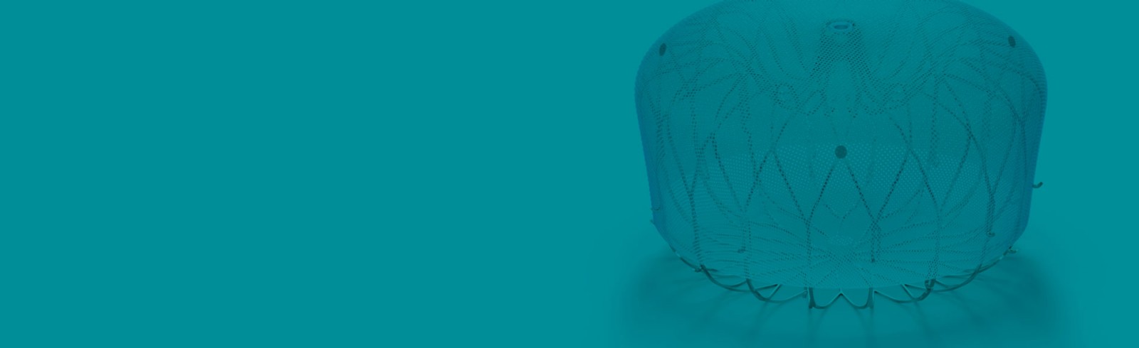 Clinical Data - Recent Studies, Pre-clinical Data - WATCHMAN FLX Pro