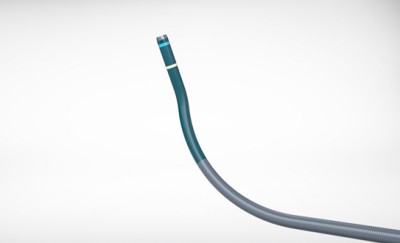 WATCHMAN FXD Curve Access System - Placement, Delivery - WATCHMAN FLX