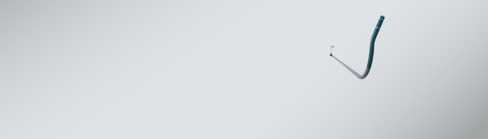 WATCHMAN FXD Curve Access System - Placement, Delivery - WATCHMAN FLX