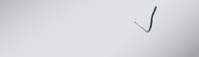 WATCHMAN FXD Curve Access System - Placement, Delivery - WATCHMAN FLX