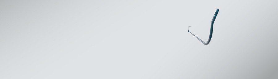 WATCHMAN FXD Curve Access System - Placement, Delivery - WATCHMAN FLX