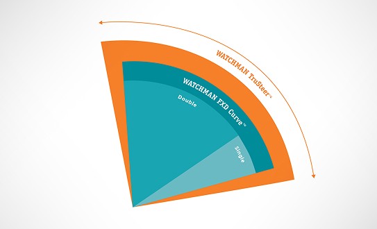 WATCHMAN TruSteer Access System - Deployment - WATCHMAN FLX