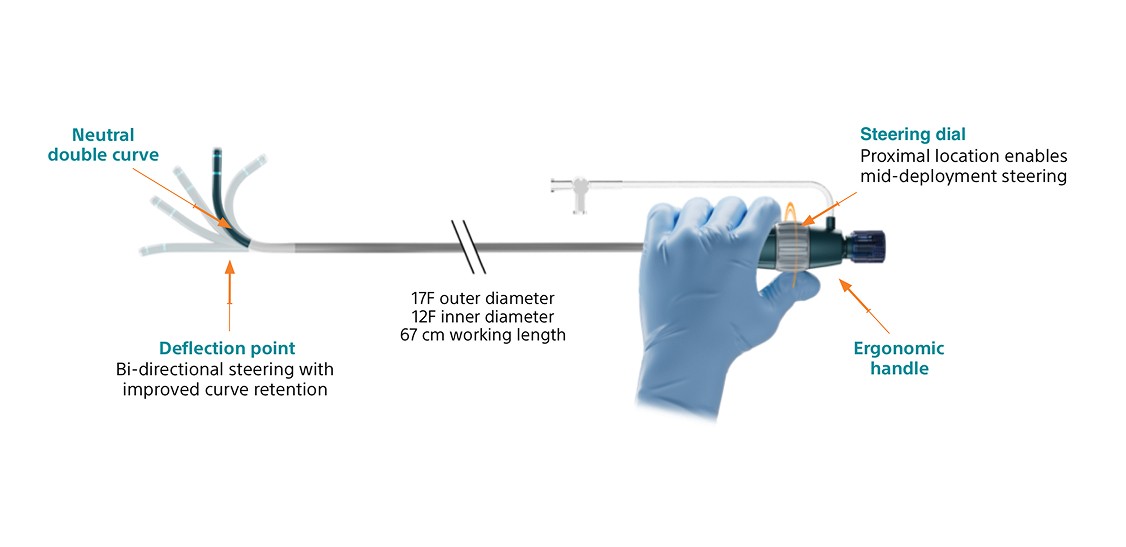WATCHMAN TruSteer Access System - Deployment - WATCHMAN FLX