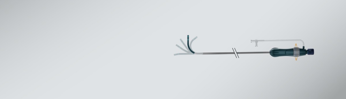 WATCHMAN TruSteer Access System - Deployment - WATCHMAN FLX