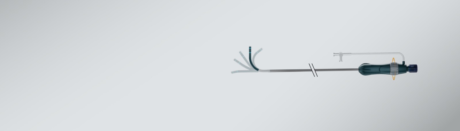 WATCHMAN TruSteer Access System - Deployment - WATCHMAN FLX