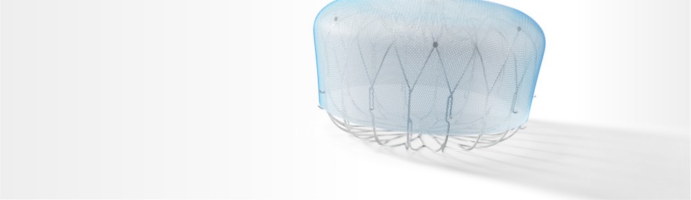 Healing Process After LAAC - Healing Stages - WATCHMAN FLX Pro